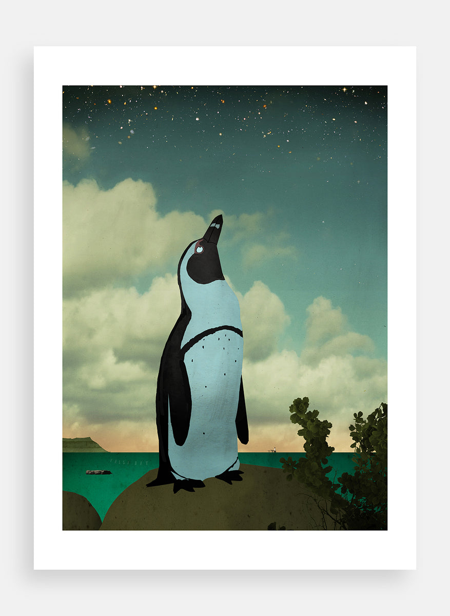 Penguin - Art print by Patrick Latimer – Patrick Latimer